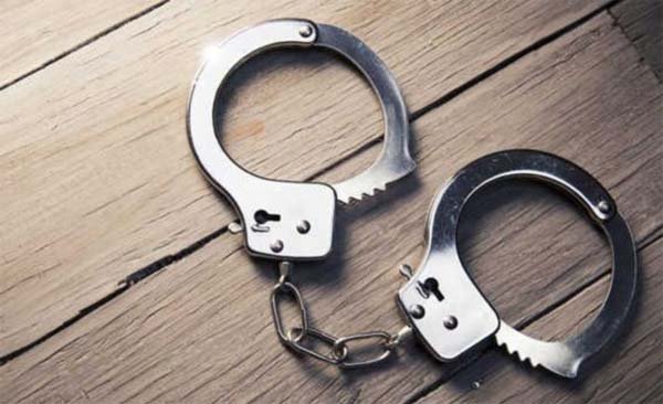 Telangana: Falcon Invoice Discounting scam: CID arrests kingpin in Rs ...